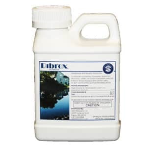 Diquat Herbicide - Aquatic Weed Control - Lake Restoration