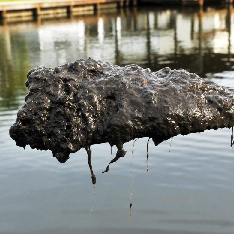 Dredging a Pond - Pros and Cons