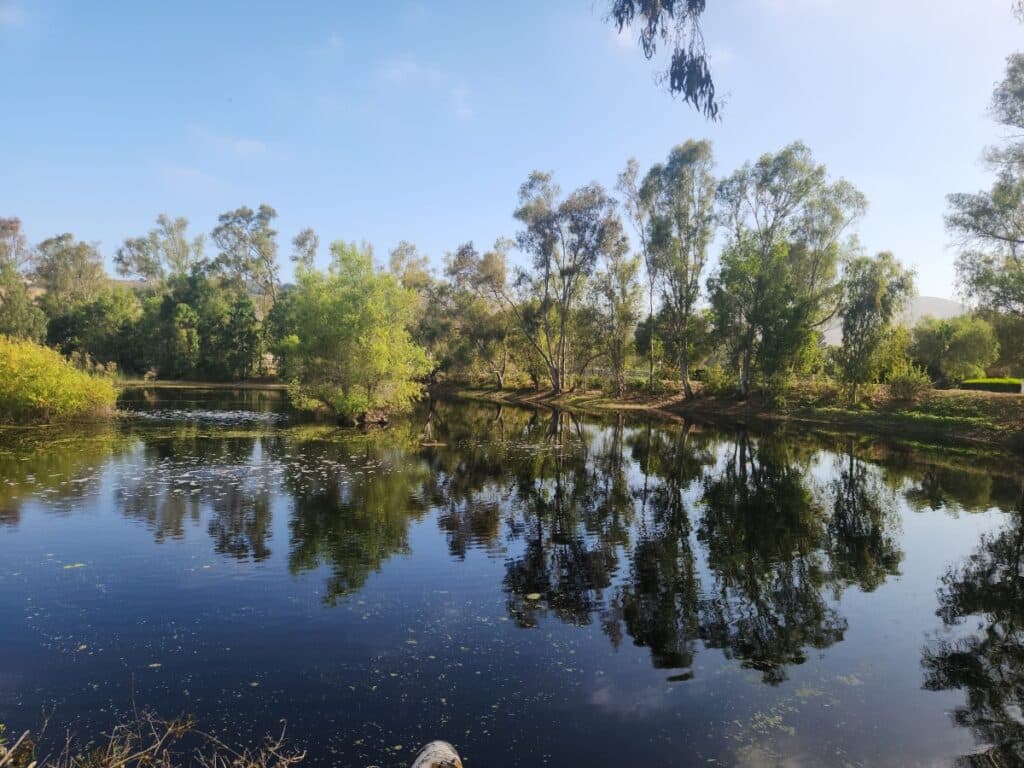 Restore Beautiful, Clear, and Healthy Water | Lake Restoration